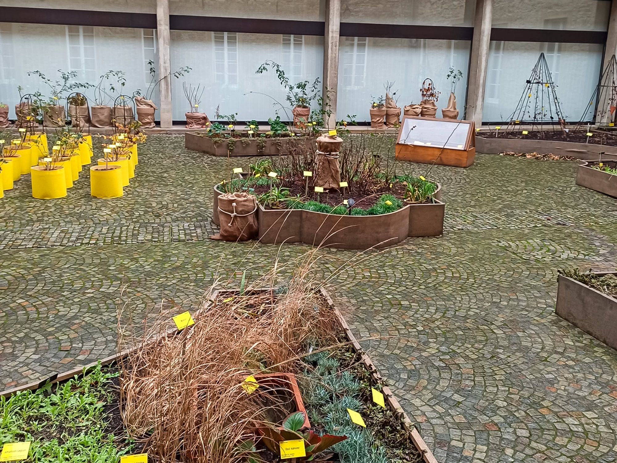 Battlefield — Garden EN